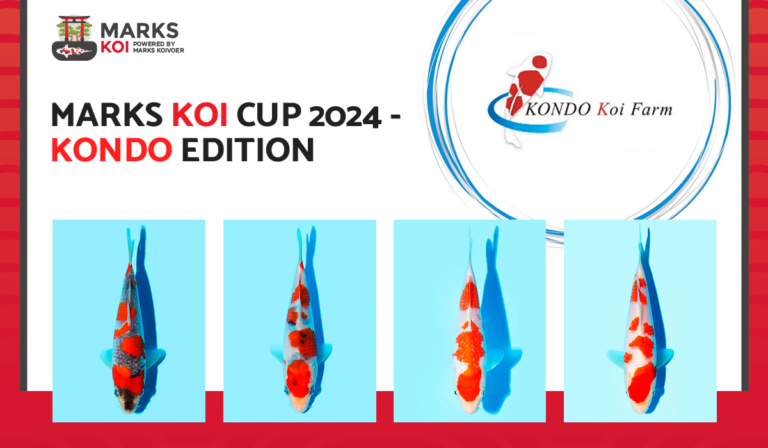 Marks Koi Cup 2024/25 - Kondo Edition is live and you can participate